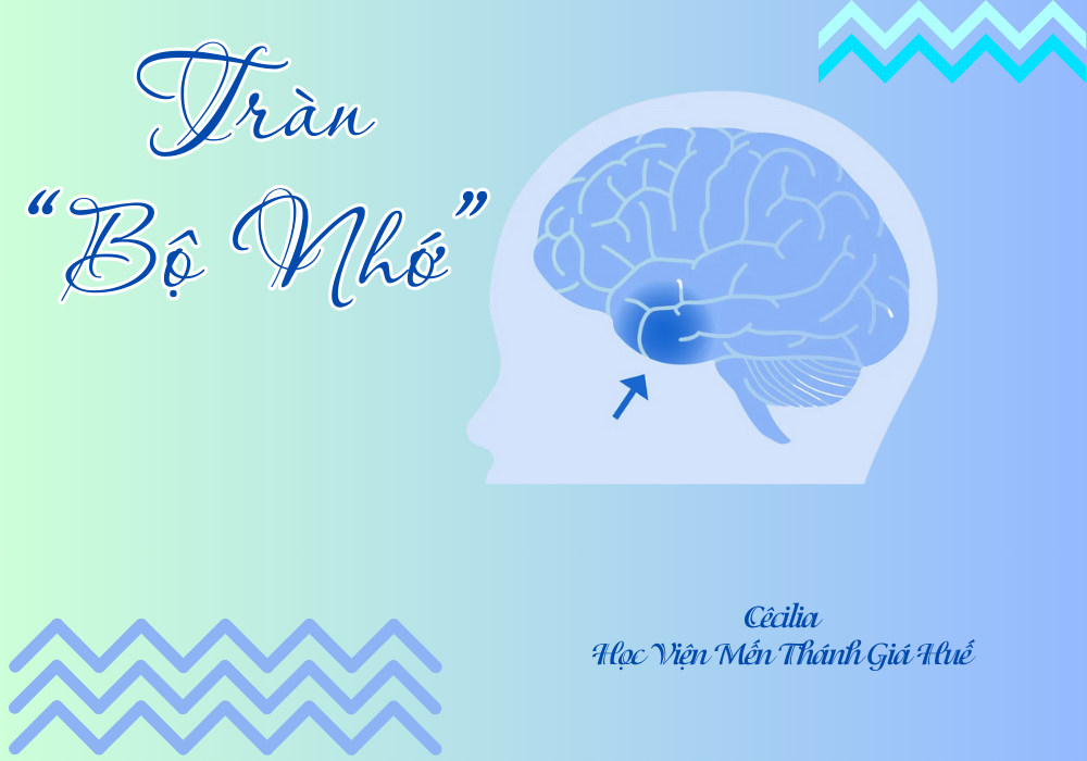 Tràn "Bộ Nhớ" - Hội Dòng Mến Thánh Giá Huế