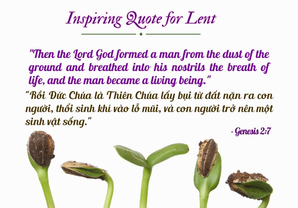 40 Inspirational Quotes for Lent_ Quote 7 - Hội Dòng Mến Thánh Giá Huế